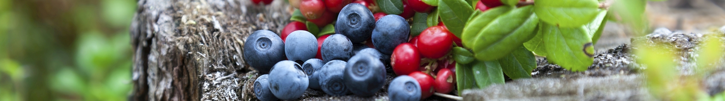 Berry Group Production - Contact